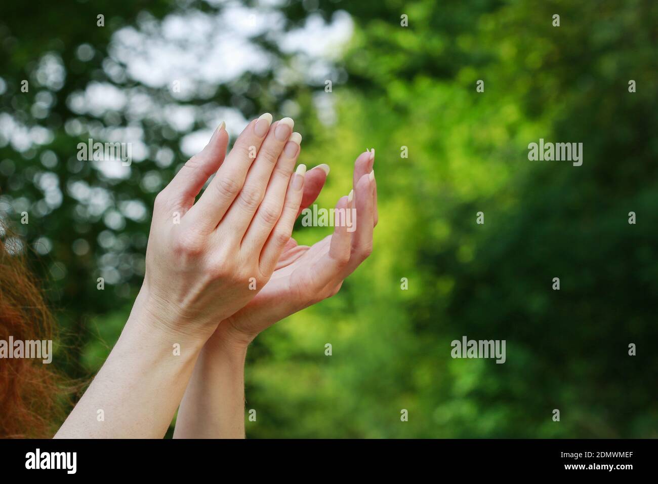 Gesture of begging hands on green background. Graphic resources Stock ...