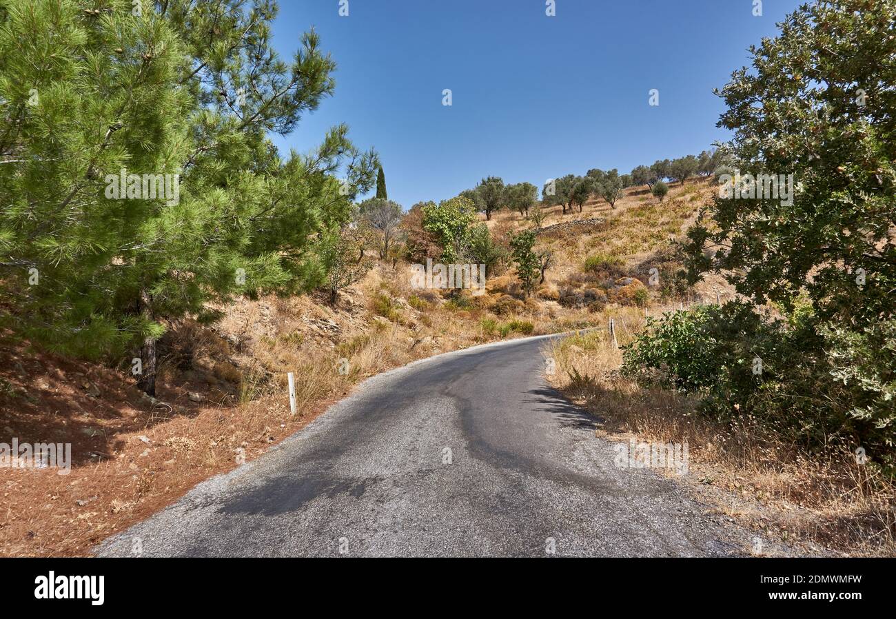Empty road in nature hi-res stock photography and images - Alamy