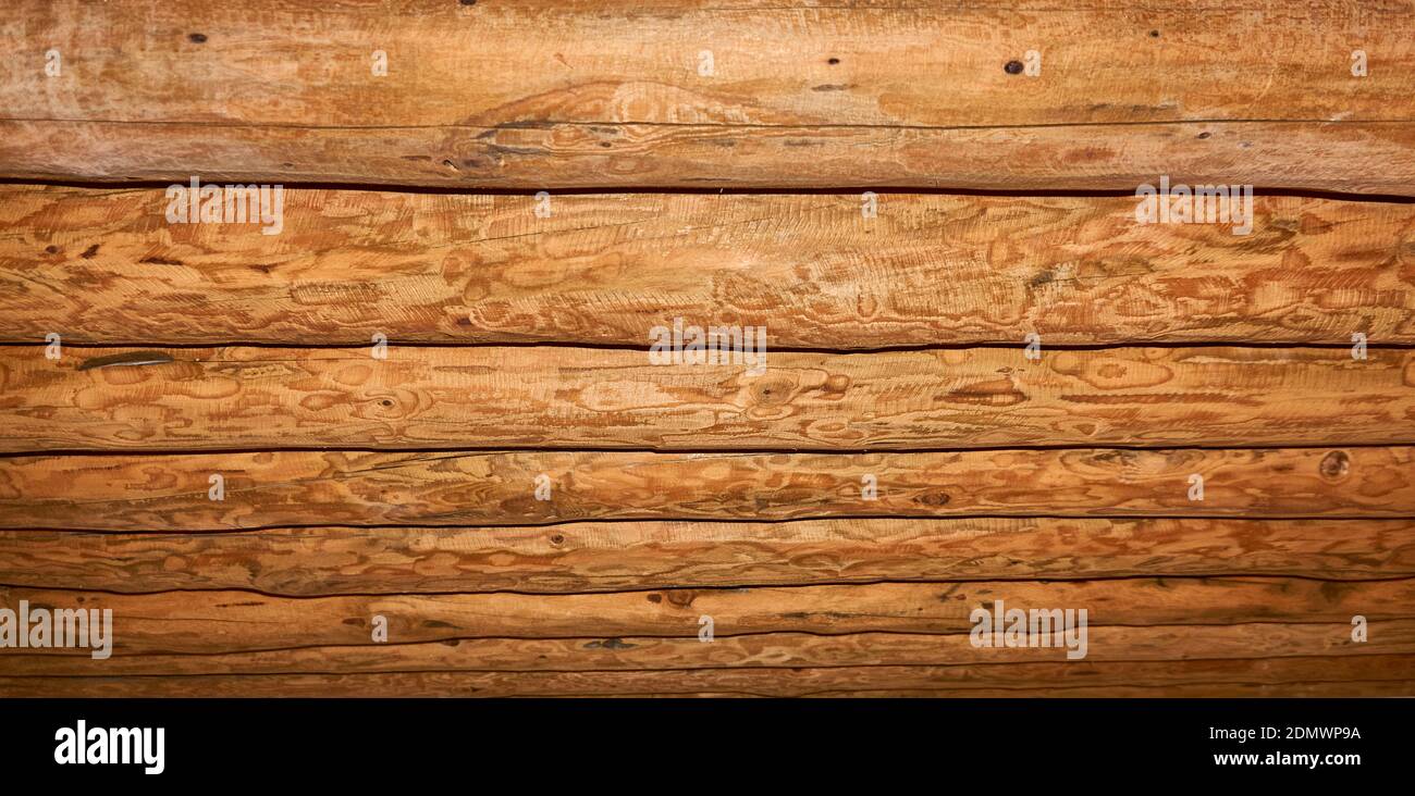 Natural wood background made from tree trunks Stock Photo - Alamy
