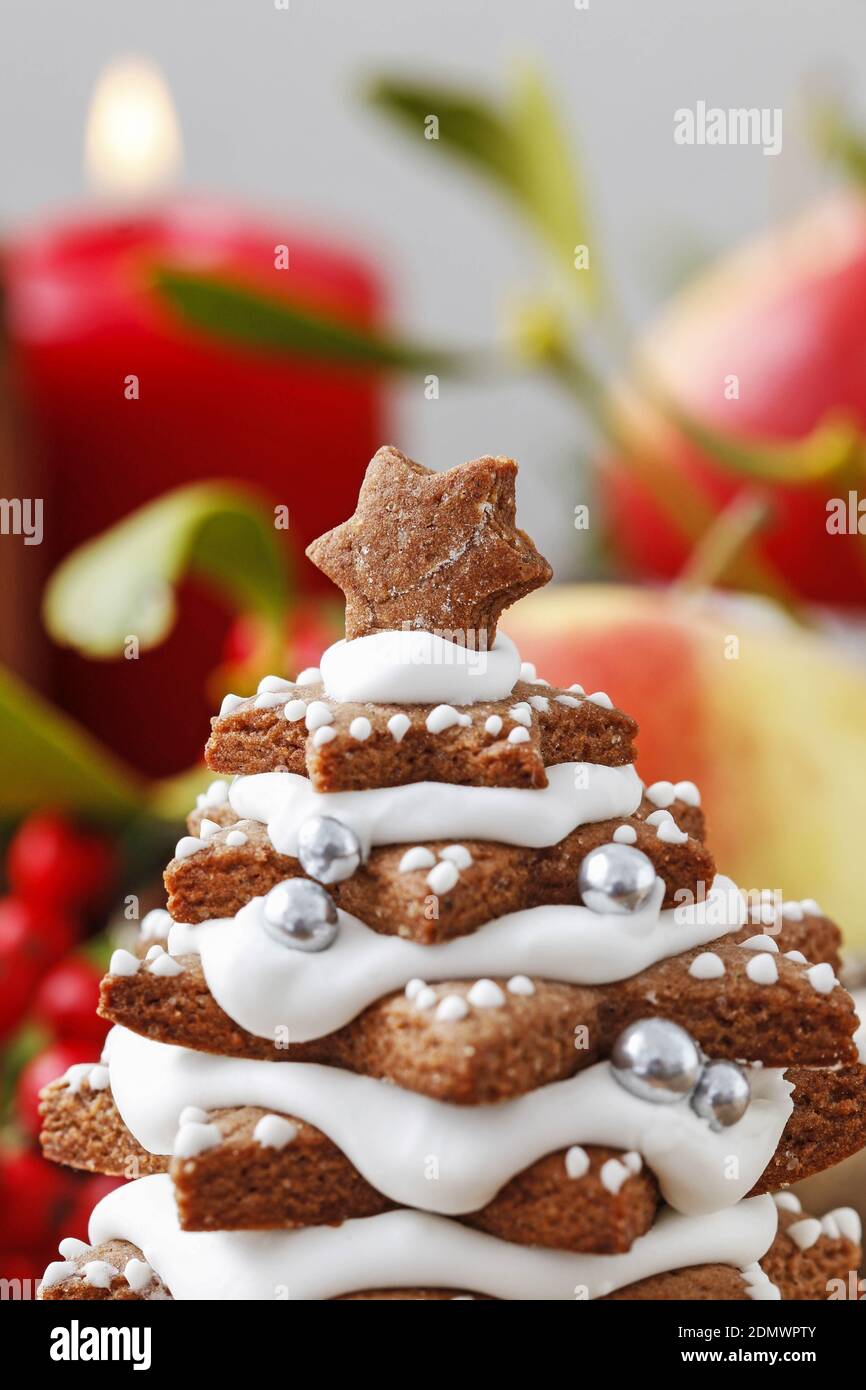 How to make christmas gingerbread cookies, step by step, tutorial Stock ...