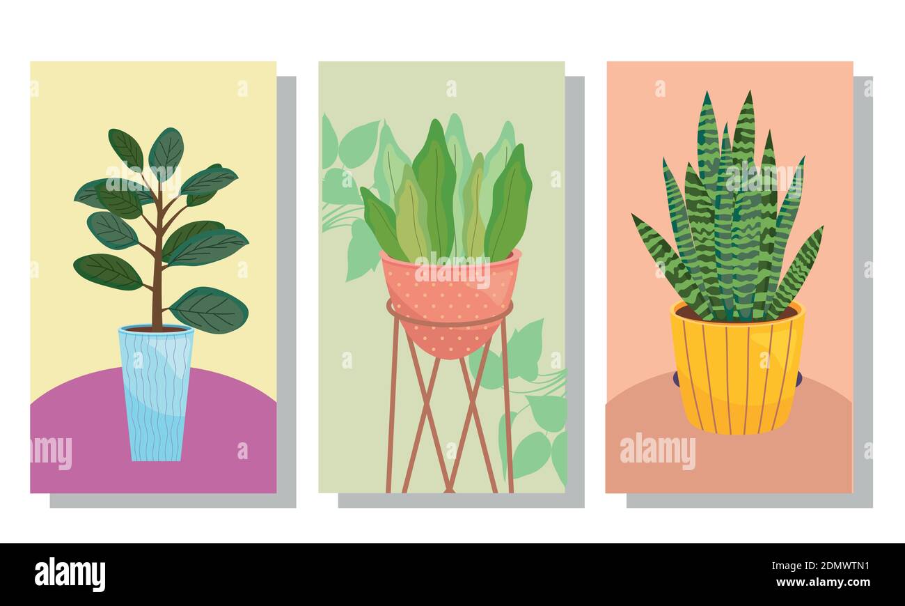 three plants inside pots in frames design of Floral nature garden and ...