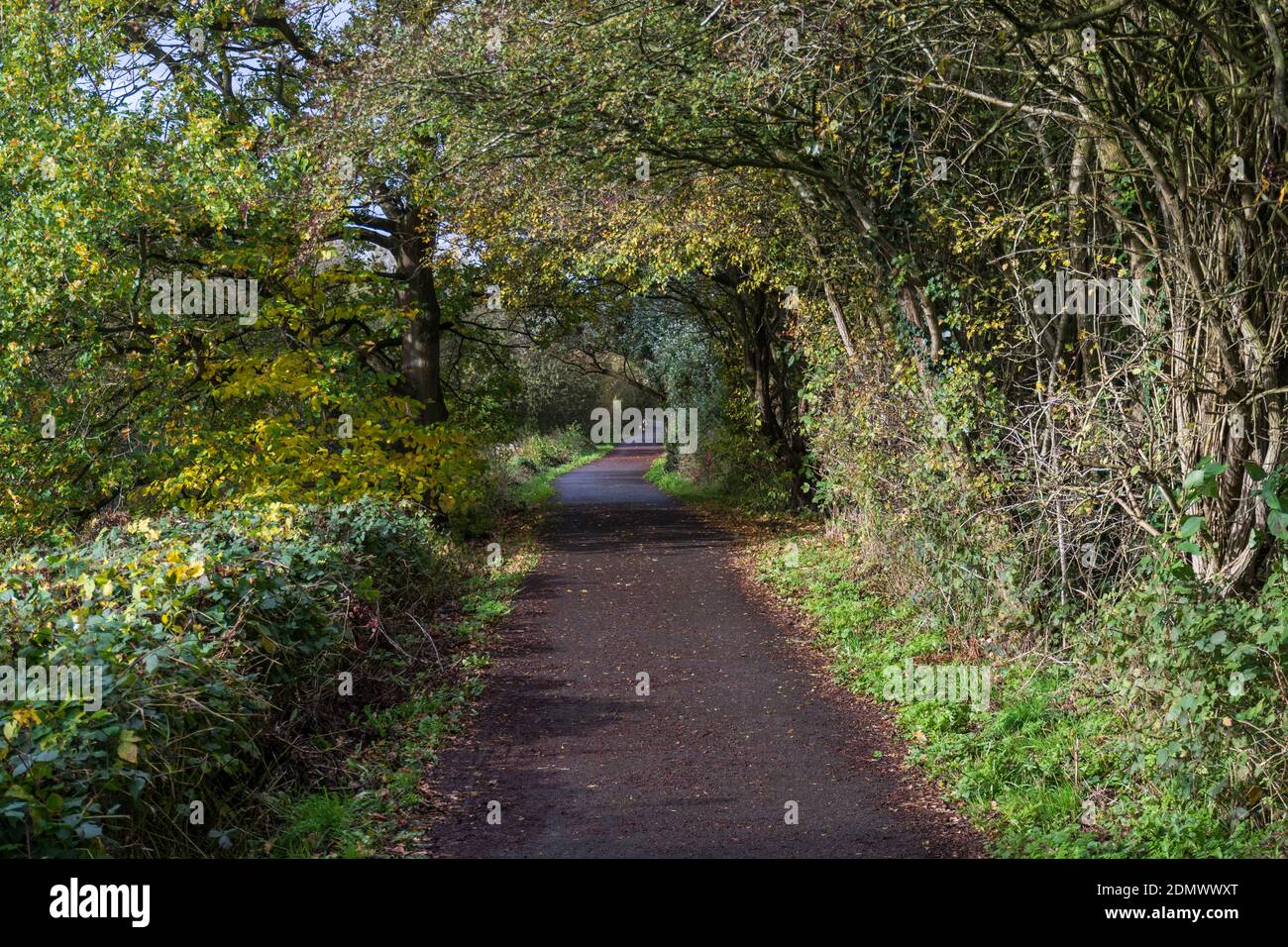 Woolston new cut hi-res stock photography and images - Alamy