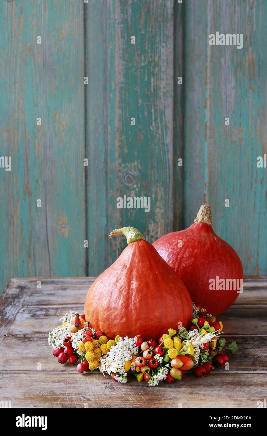Pumpkin decorated with autumn wreath with rose hip, tansy and hawthorn ...