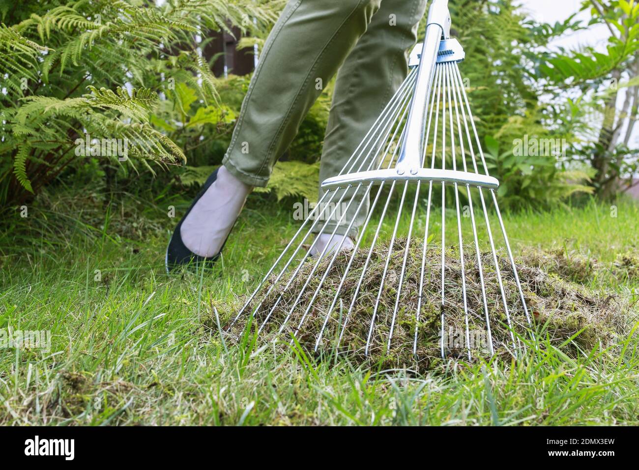 Lawn raking. Work in the garden. Autumn time Stock Photo - Alamy