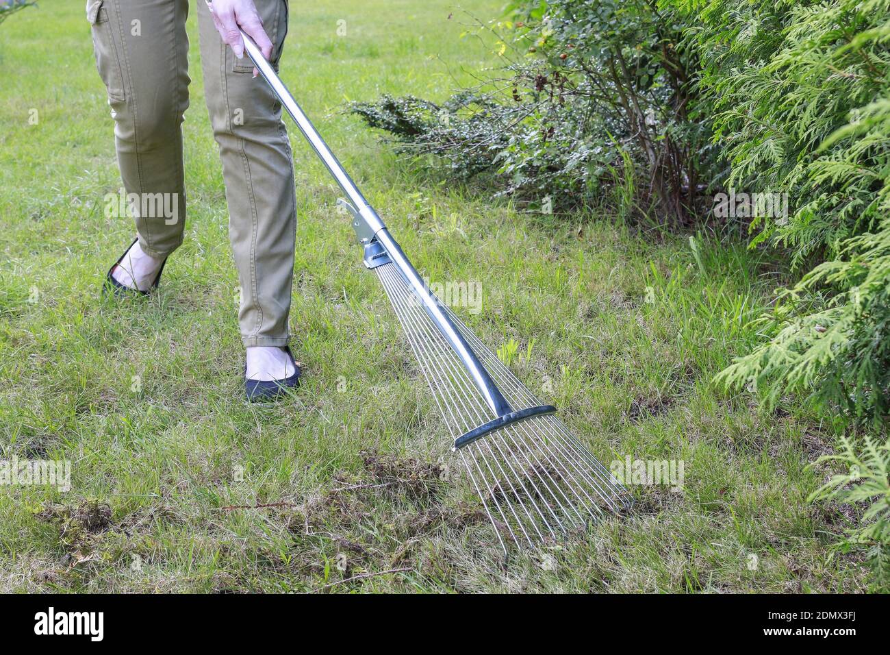 Lawn raking. Work in the garden. Autumn time Stock Photo - Alamy