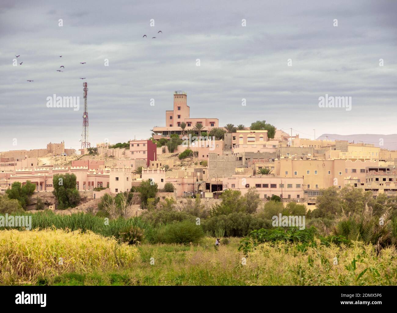Arabic atlas hi-res stock photography and images - Alamy