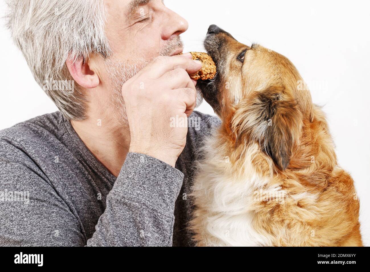 Man feeding his lovely dog with an apple. Meal time Stock Photo - Alamy