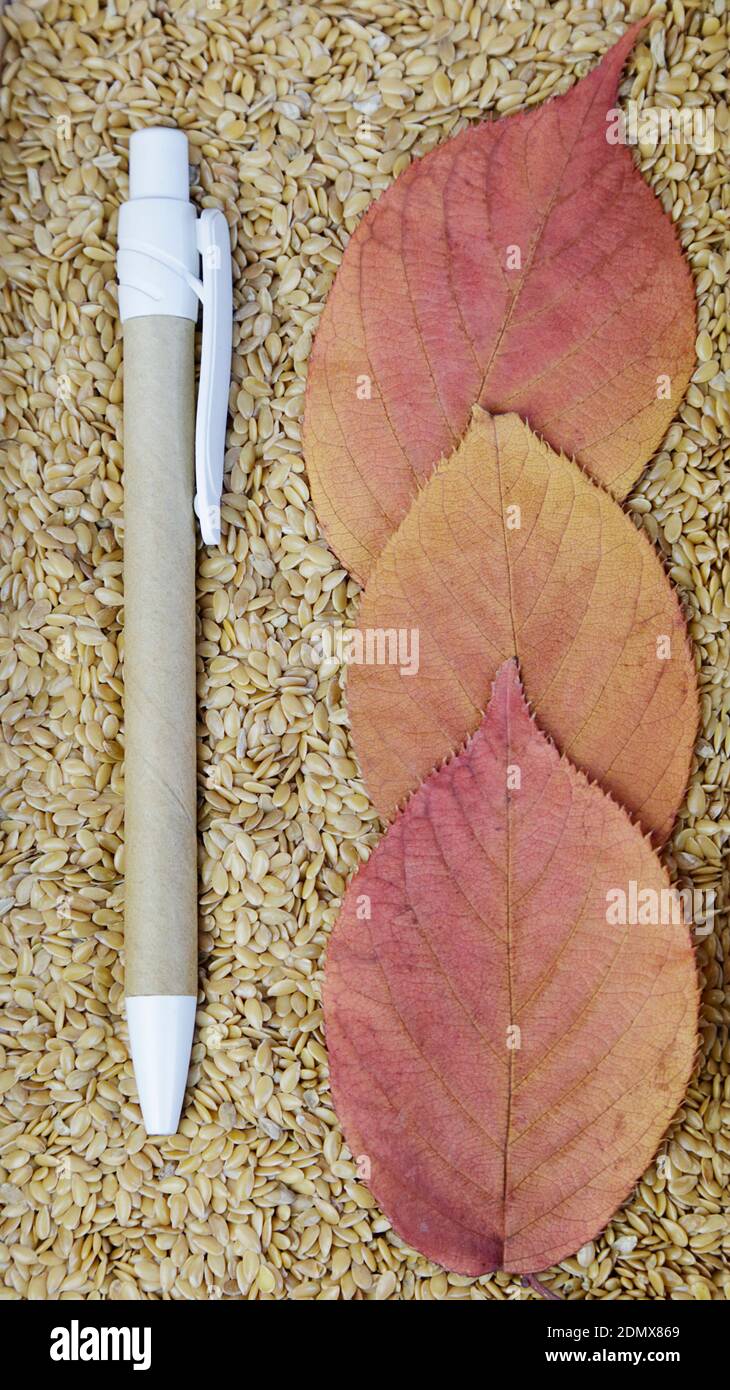 Recycled, biodegradable cardboard pen with push button and white clip ...