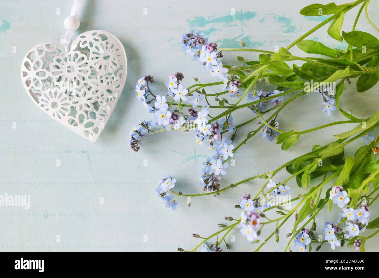 Forget-me-not flowers on blue paper background. Graphic resources Stock ...