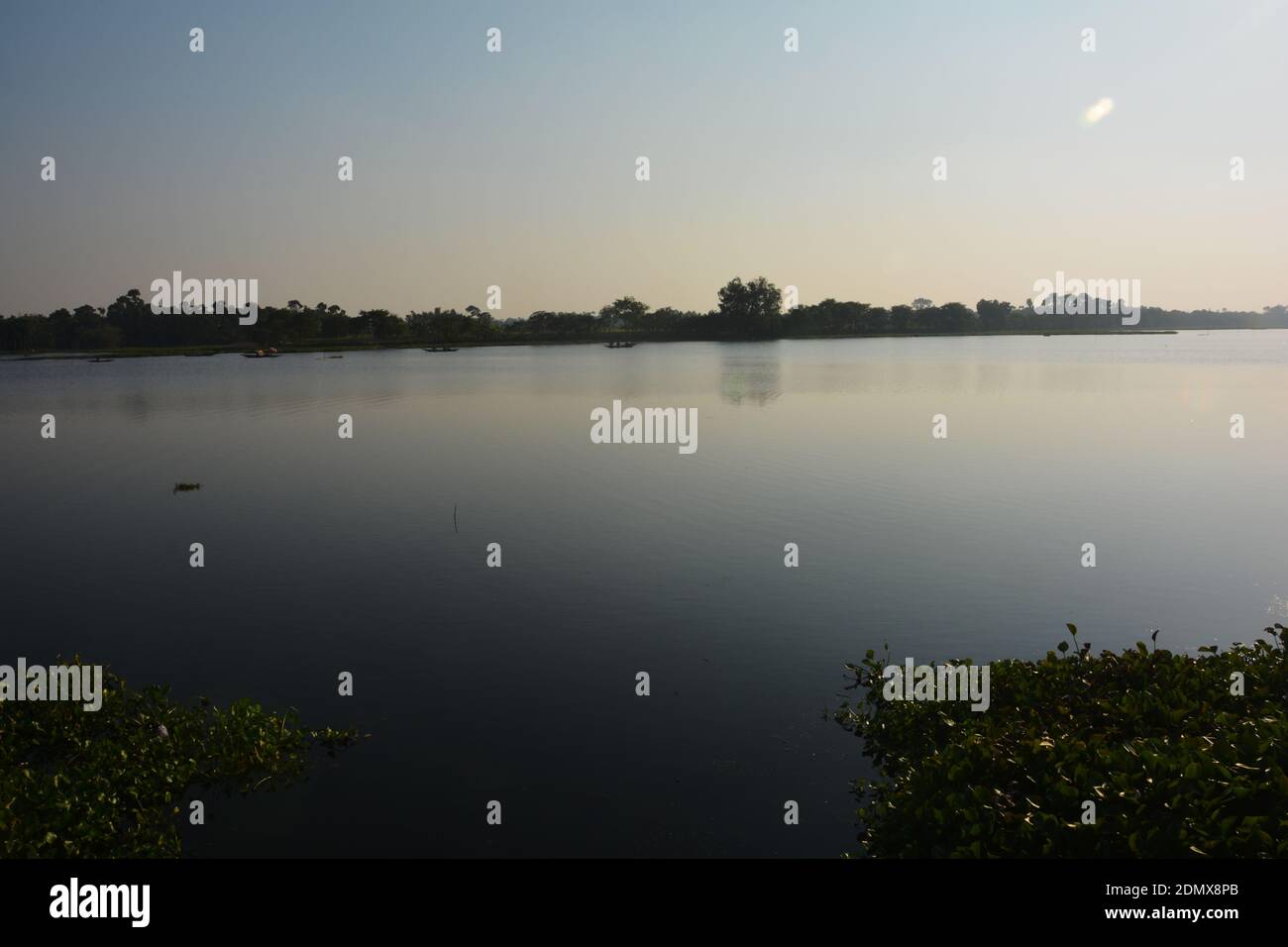 Sunset on a beautiful lake with blue sky, water and green hyacinth ...