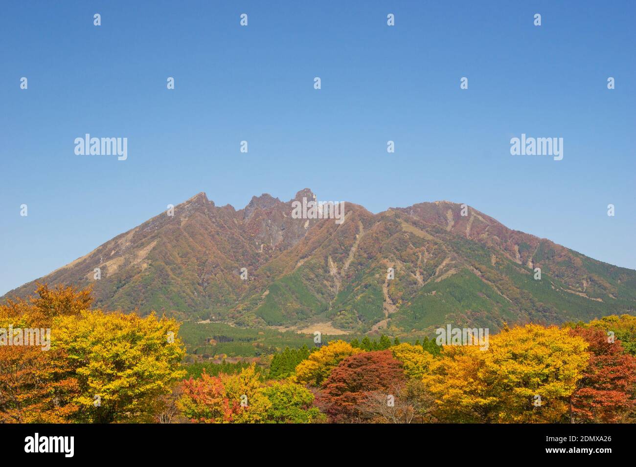 Japanese fall foliage, Mt. Neko, Aso, Japan Stock Photo - Alamy