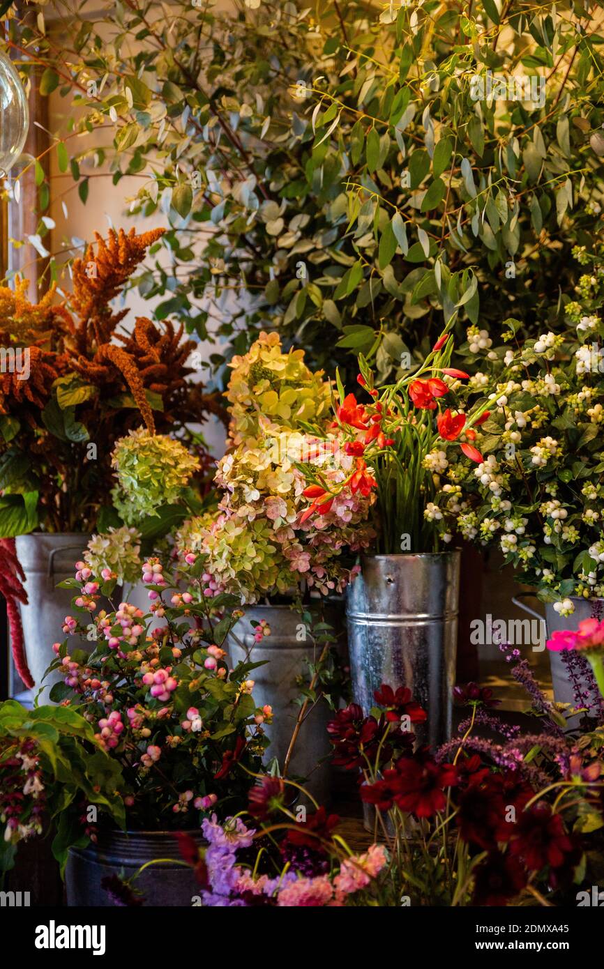 Display of flowers and plants inside a store Stock Photo - Alamy