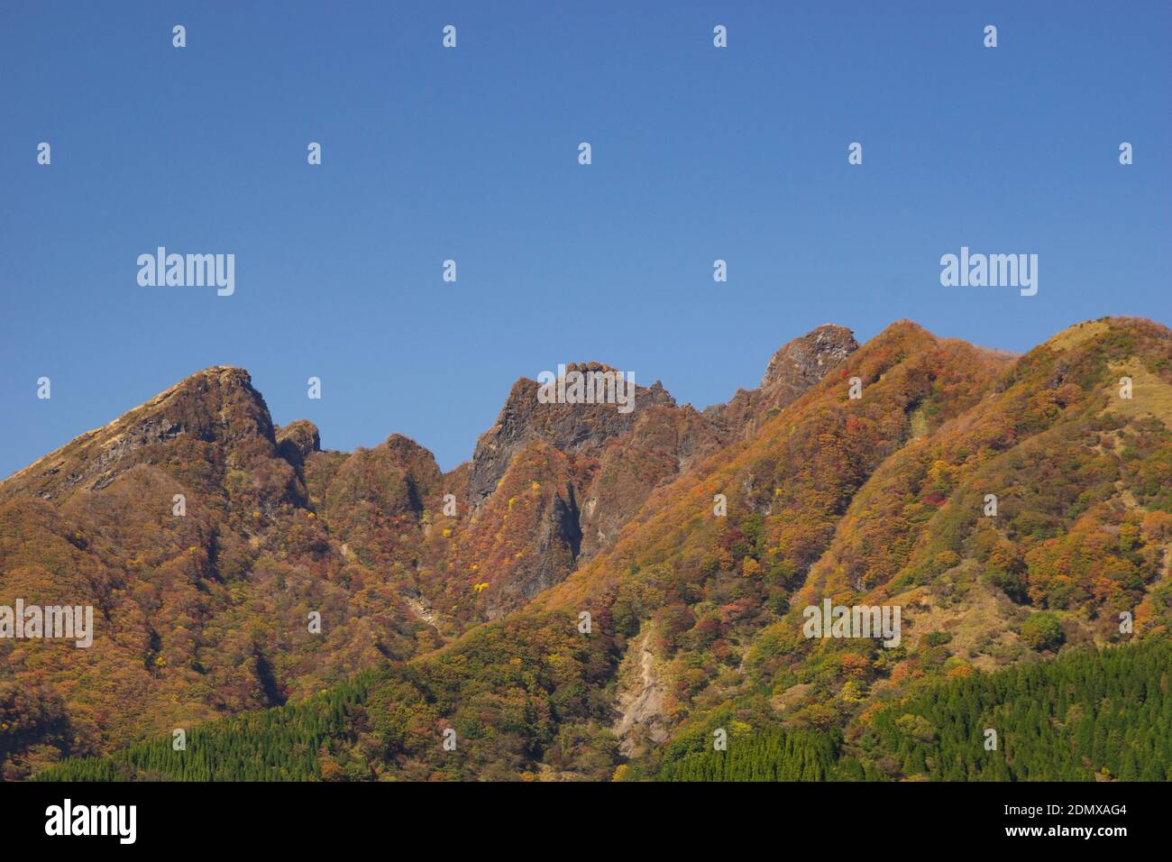 Japanese fall foliage, Mt. Neko, Aso, Japan Stock Photo - Alamy