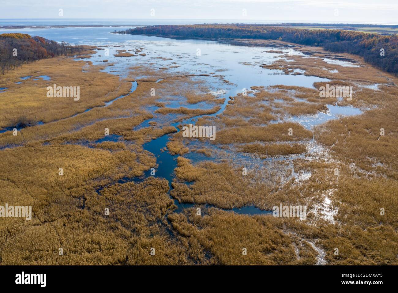 Aerial Photography of Marshland Stock Photo - Alamy
