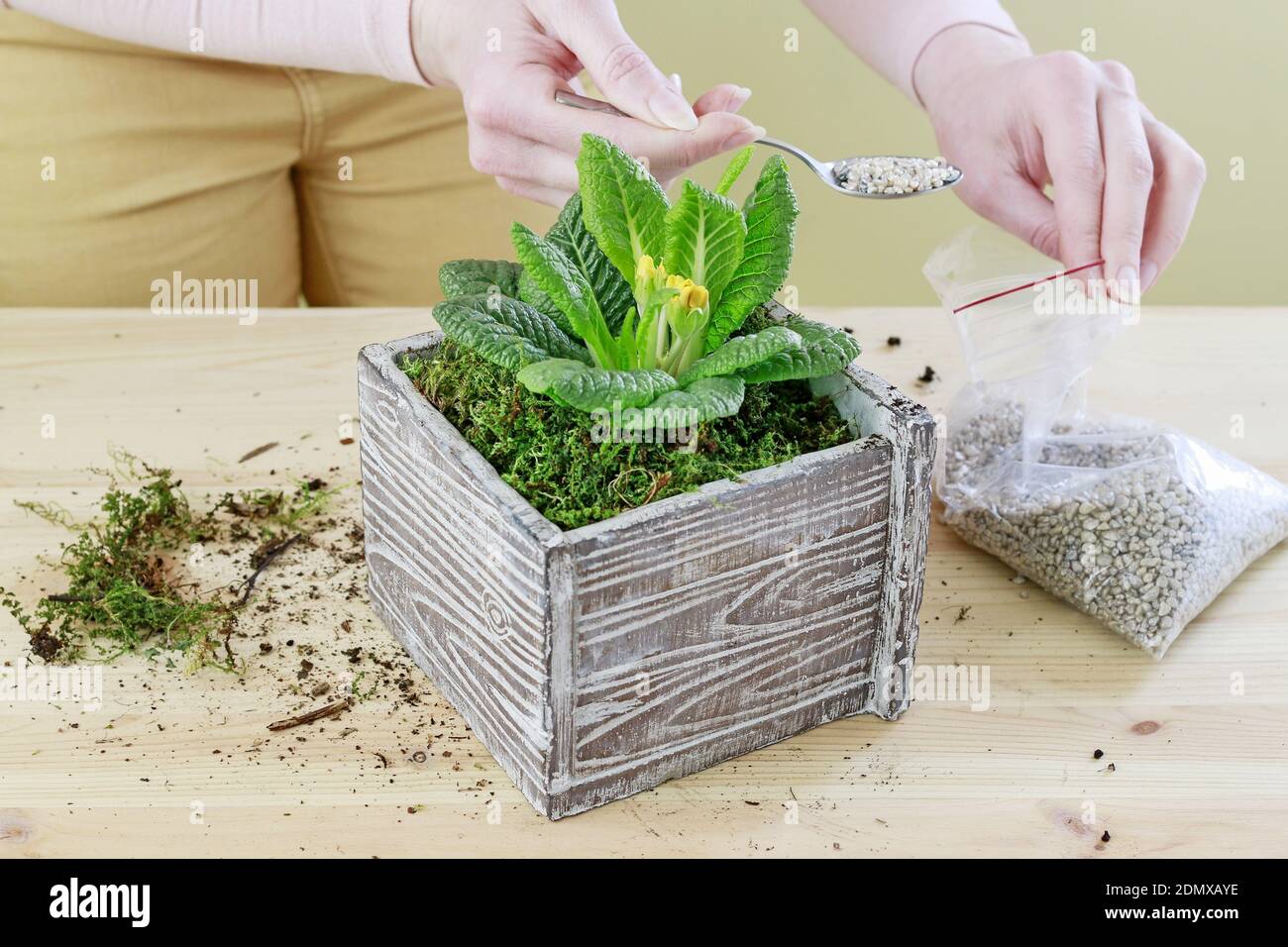 Florist at work: woman shows how to make a simple decoration with ...