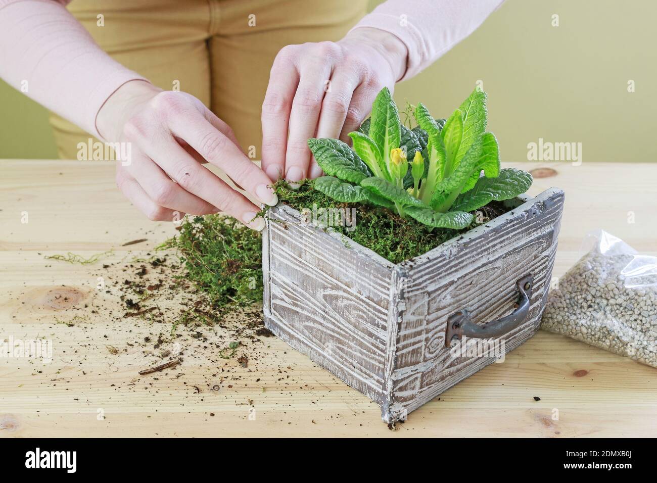 Florist at work: woman shows how to make a simple decoration with ...