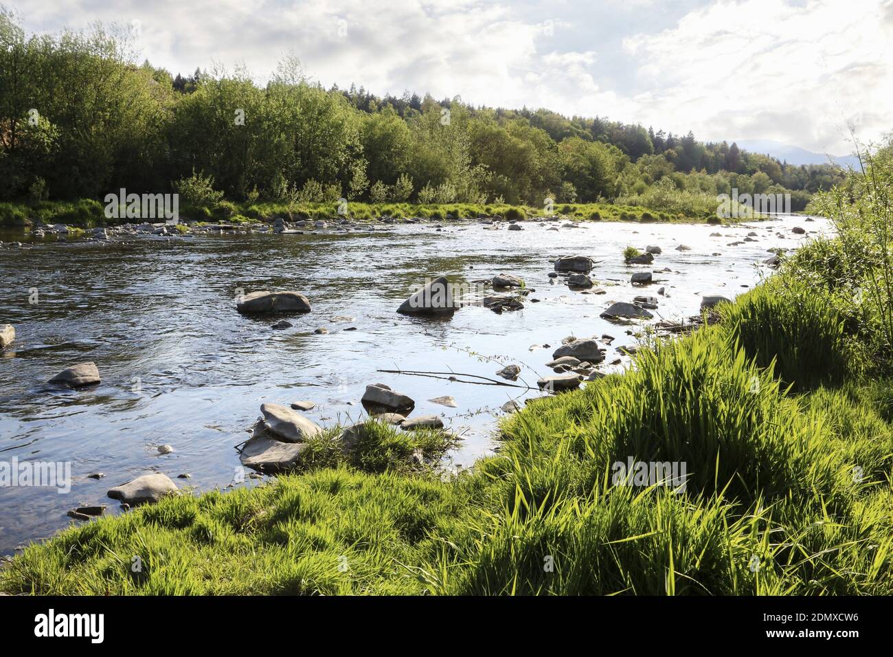 Calm river in mountain region. Wild nature Stock Photo - Alamy