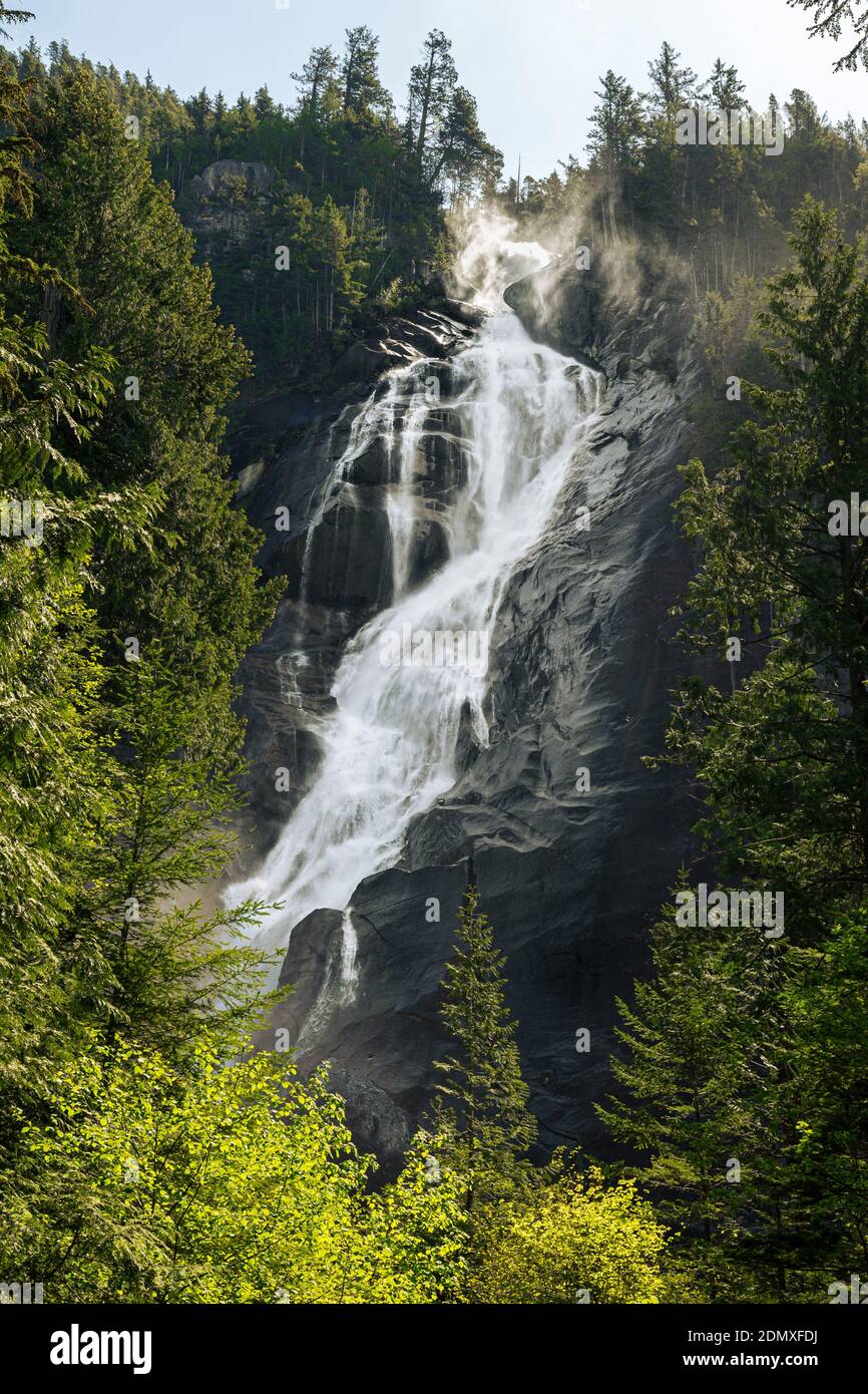 Shannon Falls in British Columbia, Canada Stock Photo - Alamy