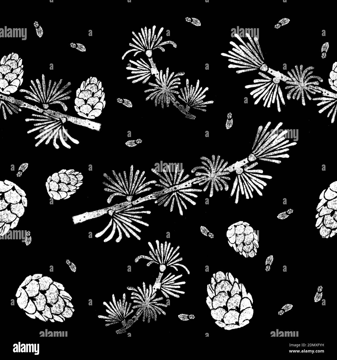 Larch pattern. Larix decidua branch, cone. Hand drawn chalk botanical ...
