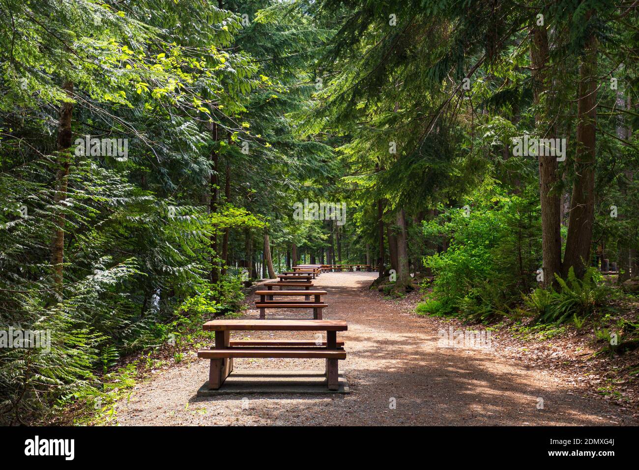 Picnic tables in forest hi-res stock photography and images - Alamy