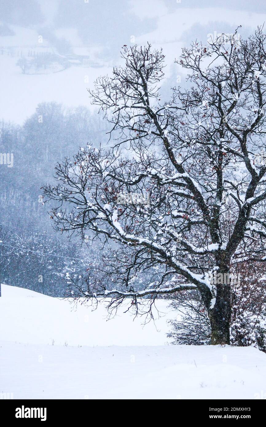 Snowy days hi-res stock photography and images - Alamy