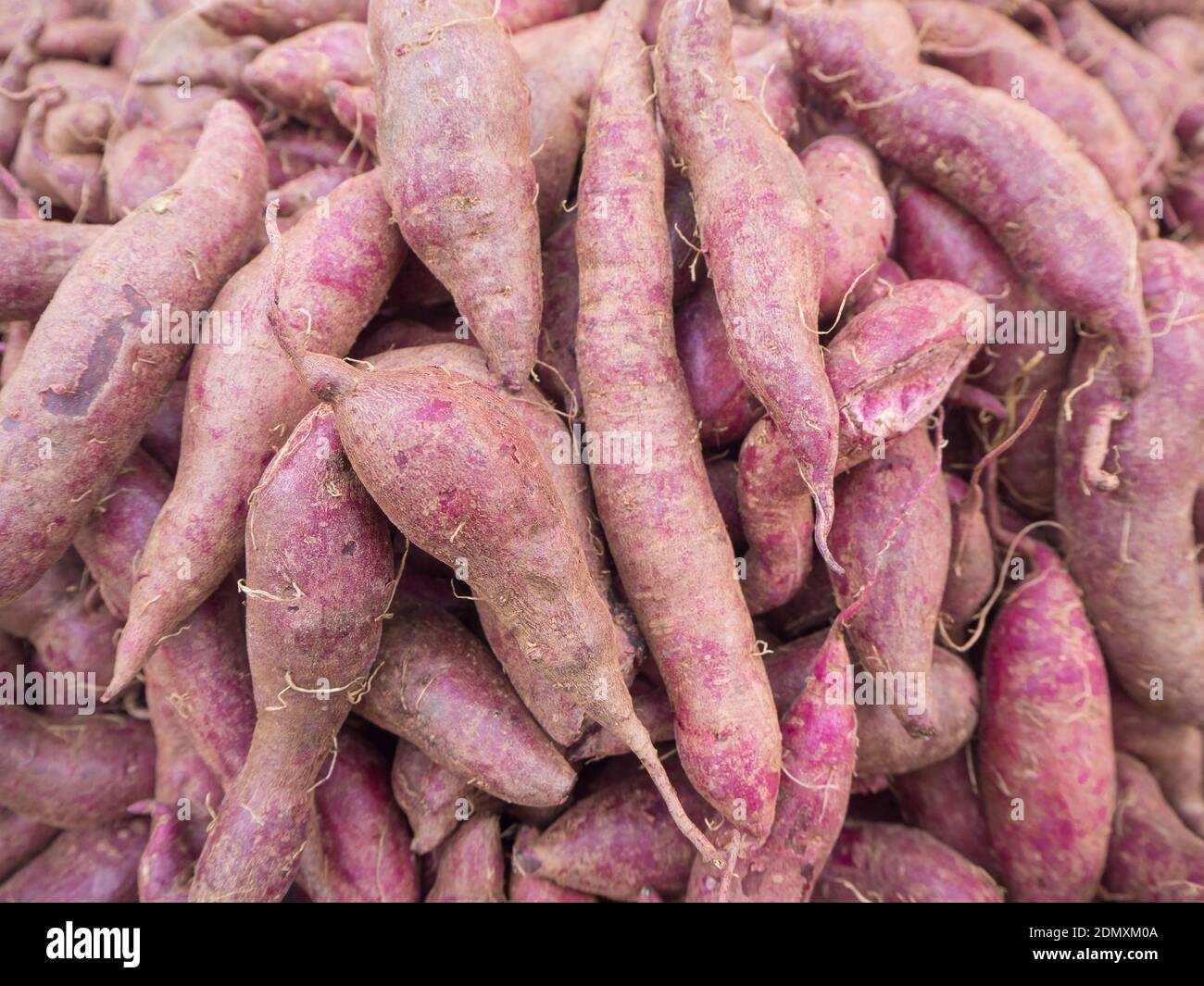 Purple yams hi-res stock photography and images - Alamy