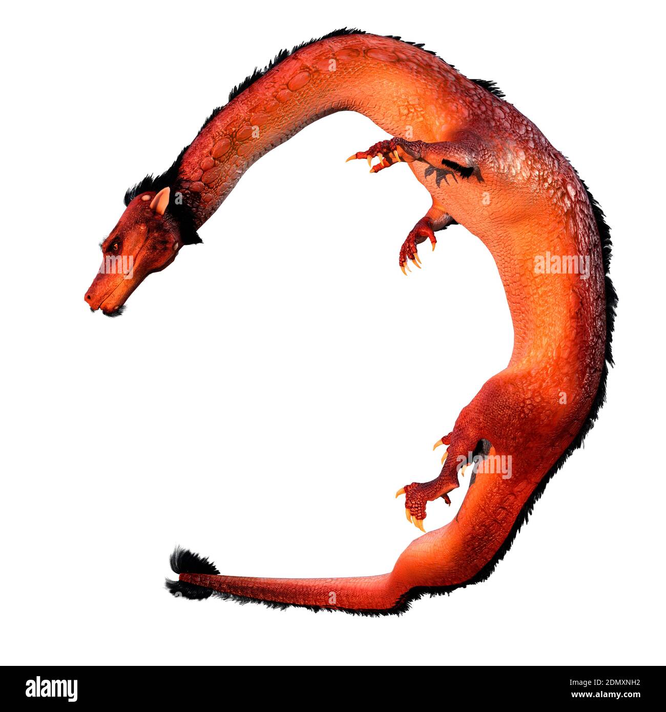 3D rendering of a red oriental Eastern dragon isolated on white ...