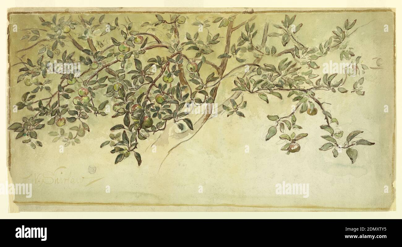 Apple Tree (Study for a Decorative Design), Walter Shirlaw, American, b ...
