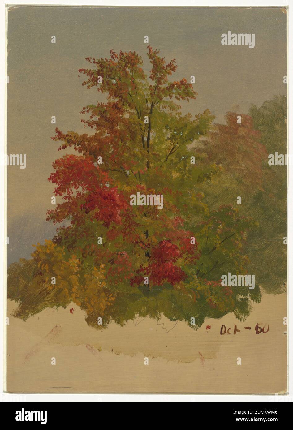 A Maple Tree, Autumn, Frederic Edwin Church, American, 1826–1900, Brush ...