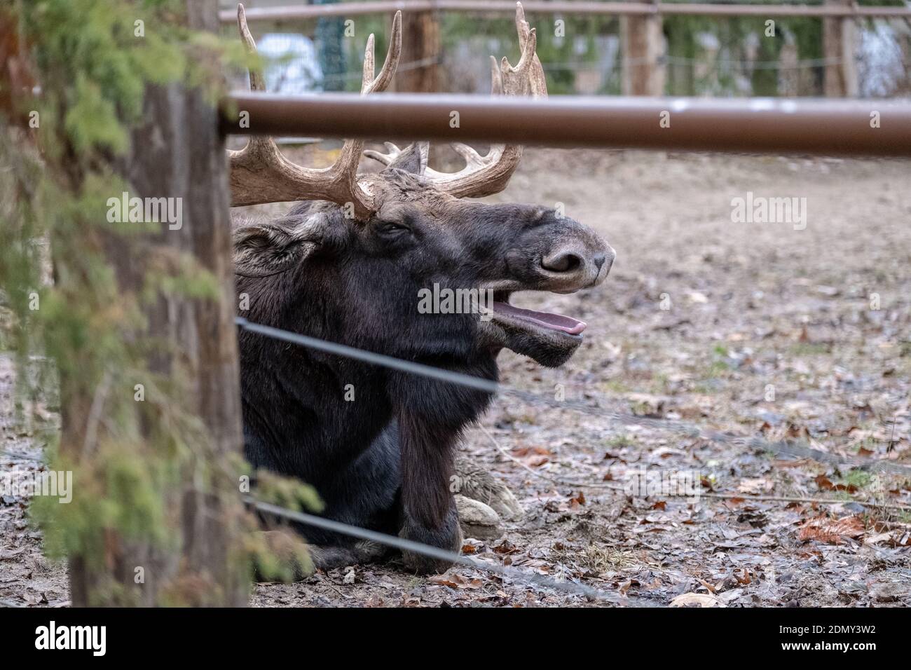 Columbus Zoo High Resolution Stock Photography and Images - Alamy