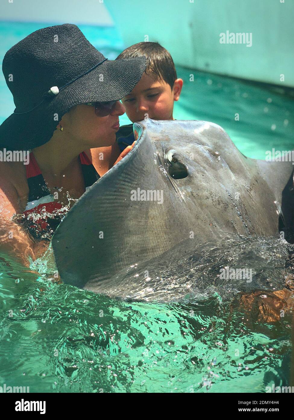 Stingray child hi-res stock photography and images - Alamy