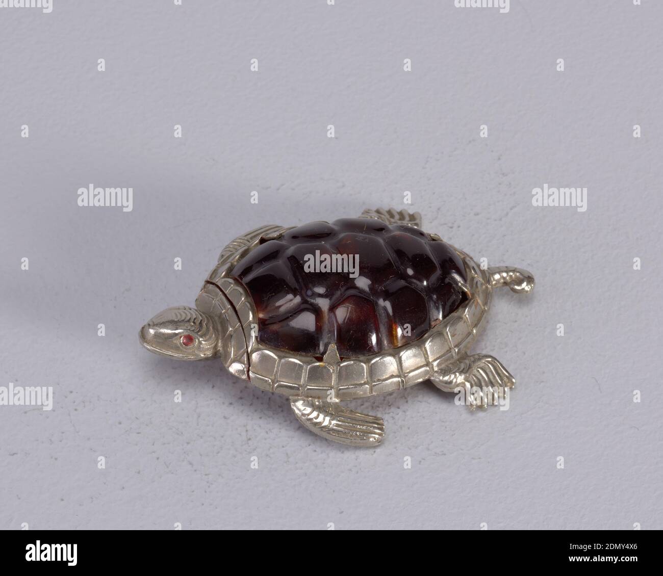 Turtle legs head tail hi-res stock photography and images - Alamy