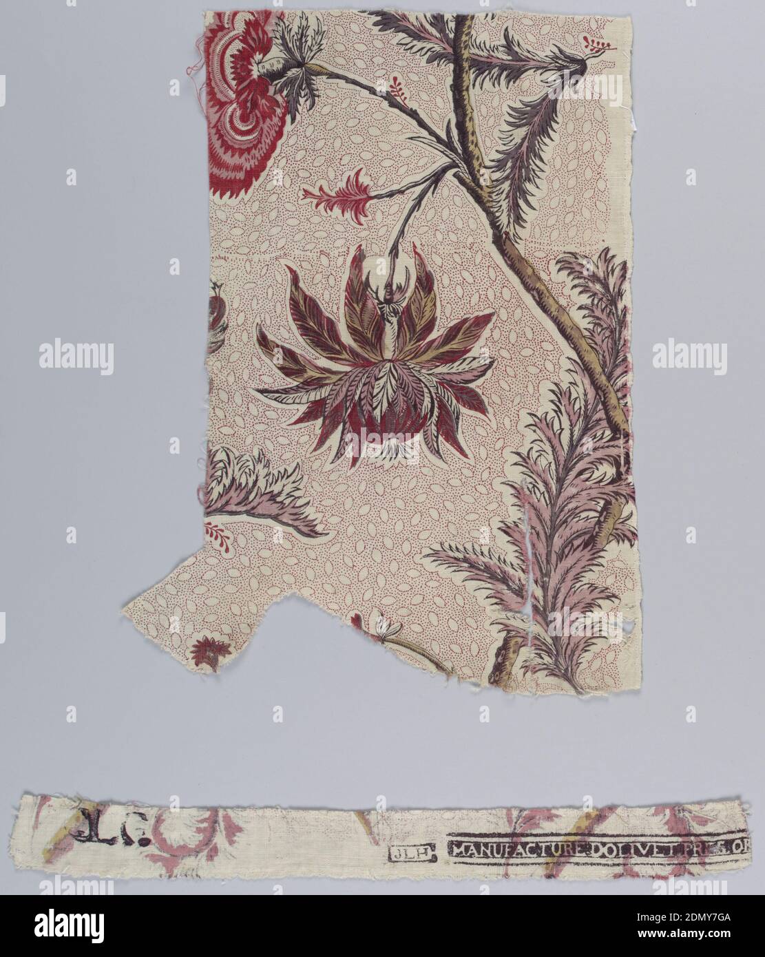 Picotage areas hi-res stock photography and images - Alamy