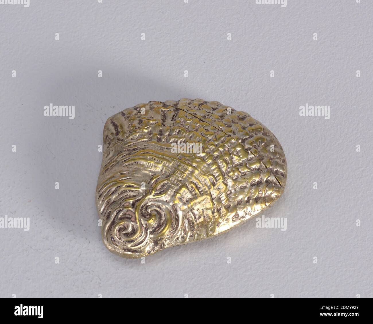 Hinge shell hi-res stock photography and images - Alamy