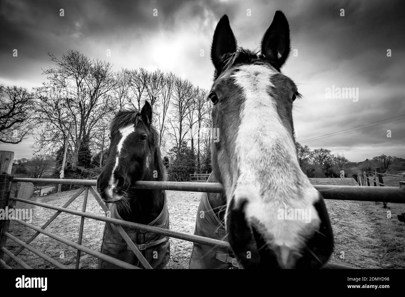 Two part gate hi-res stock photography and images - Alamy