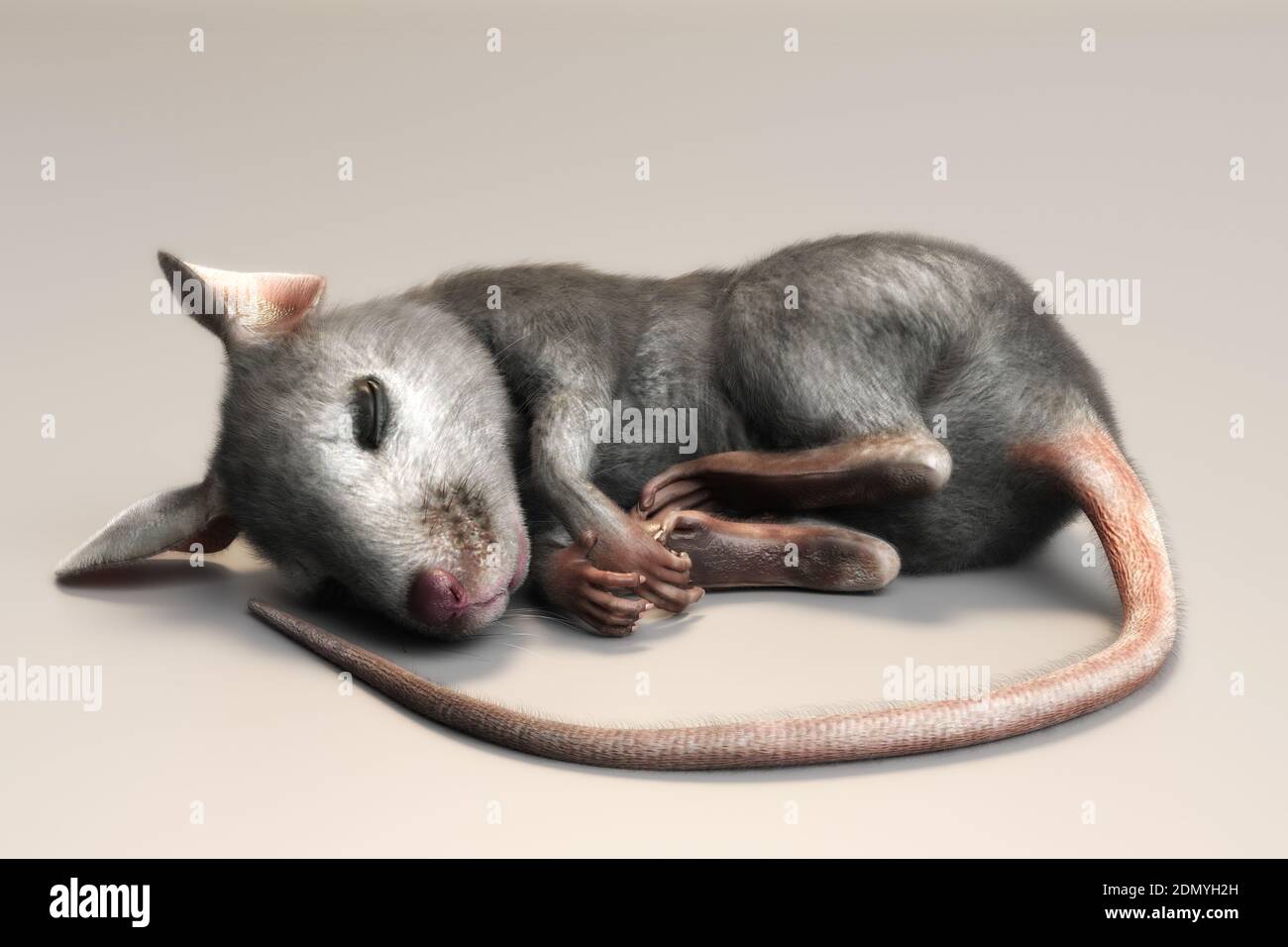 3D Illustration of a house mouse Mus musculus Stock Photo - Alamy