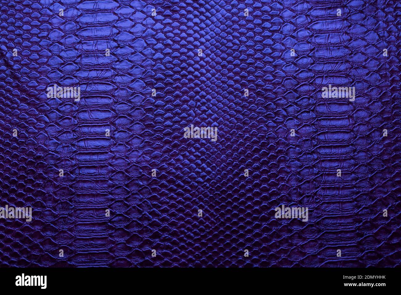 Blue snake skin texture background hi-res stock photography and images ...