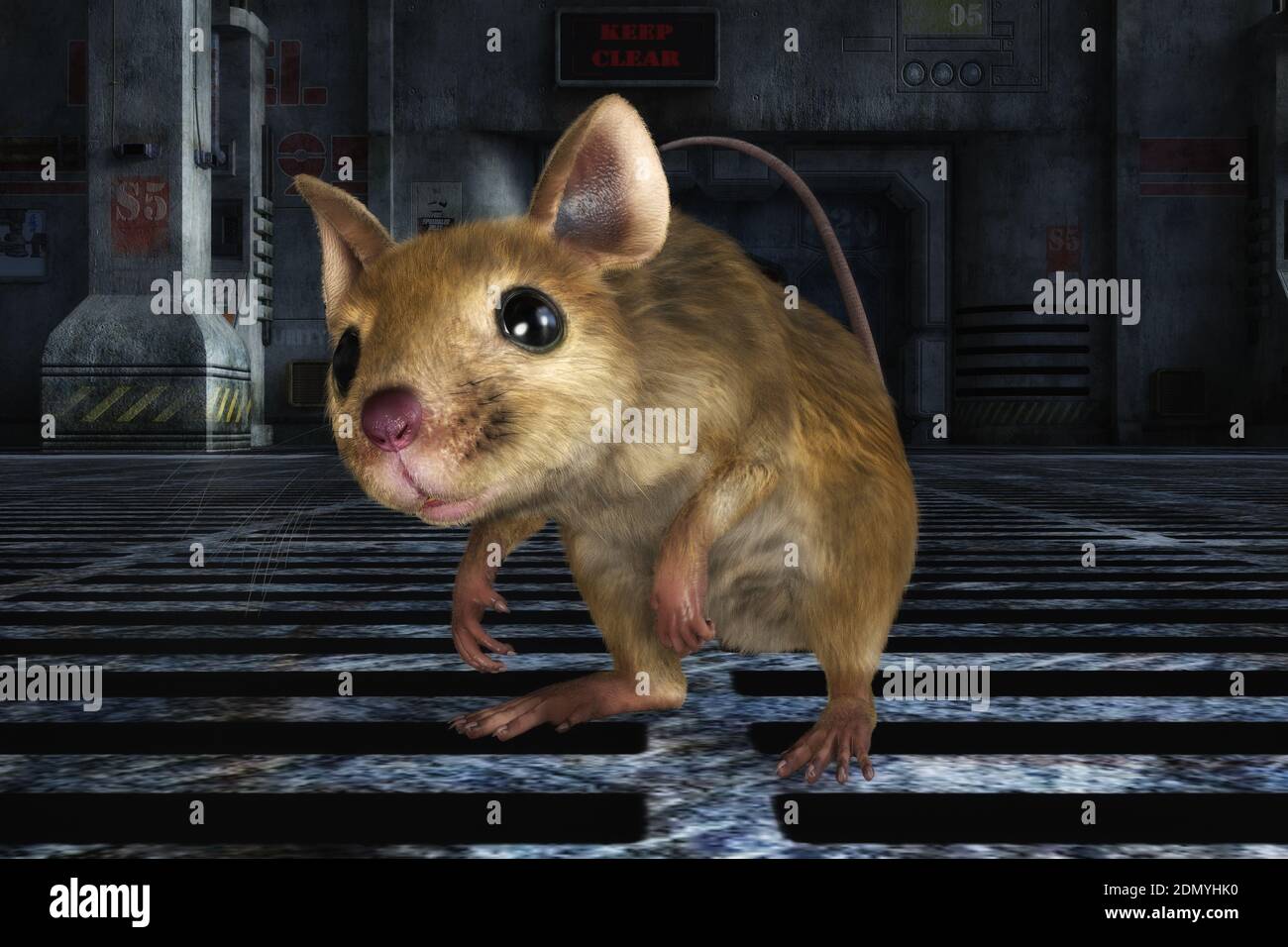 3D Illustration of a house mouse Mus musculus Stock Photo - Alamy
