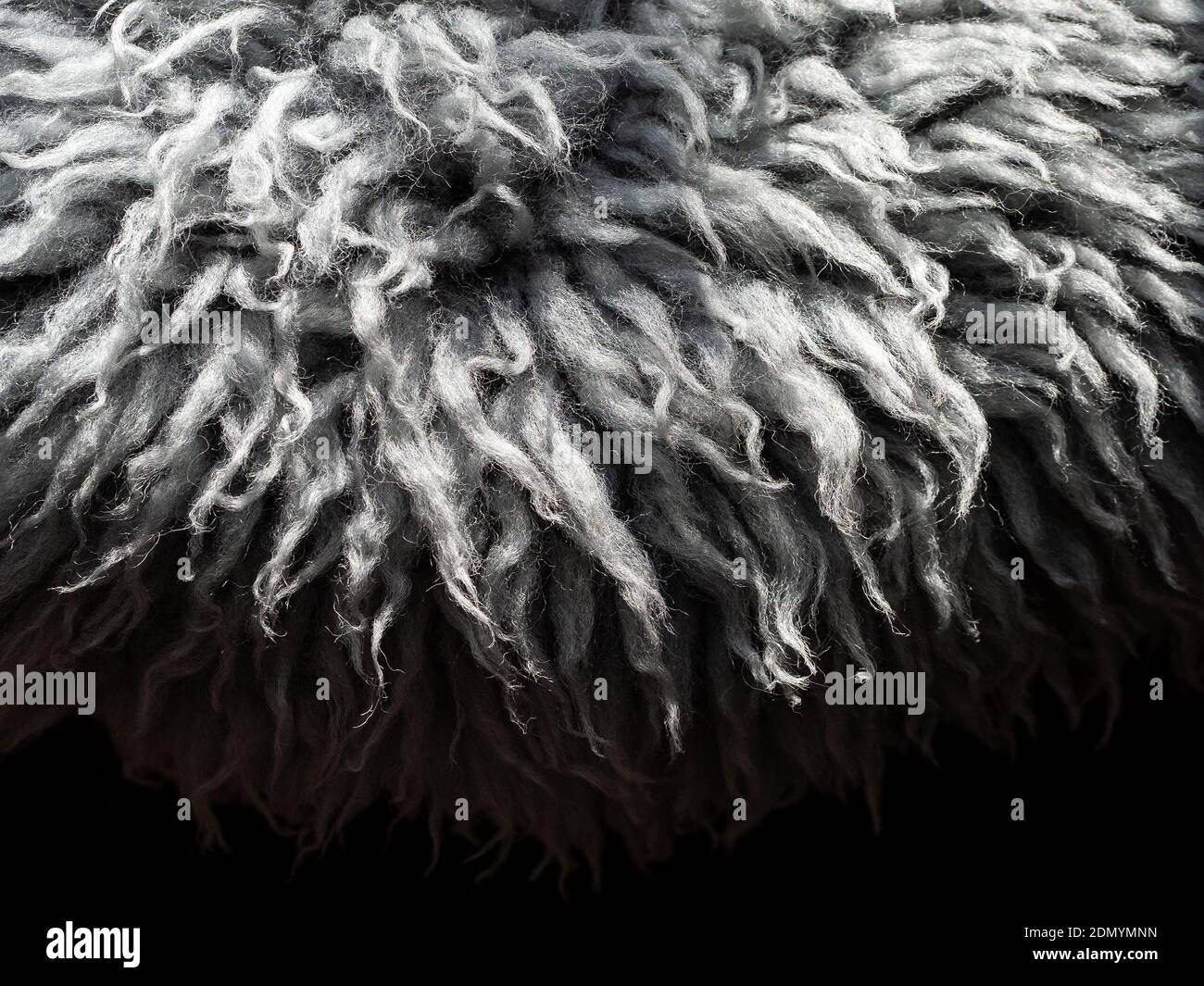 Sheep abstract art hi-res stock photography and images - Alamy