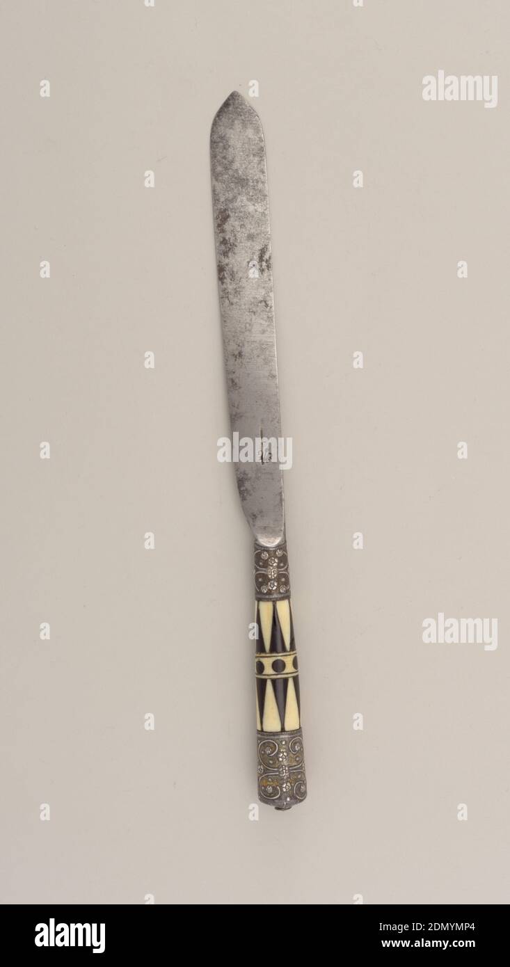 Triangular bone hi-res stock photography and images - Alamy
