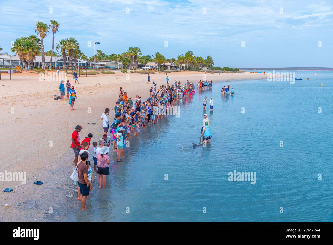 MONKEY MIA, AUSTRALIA, JANUARY 13, 2020: Dolphin feeding show at Monkey ...