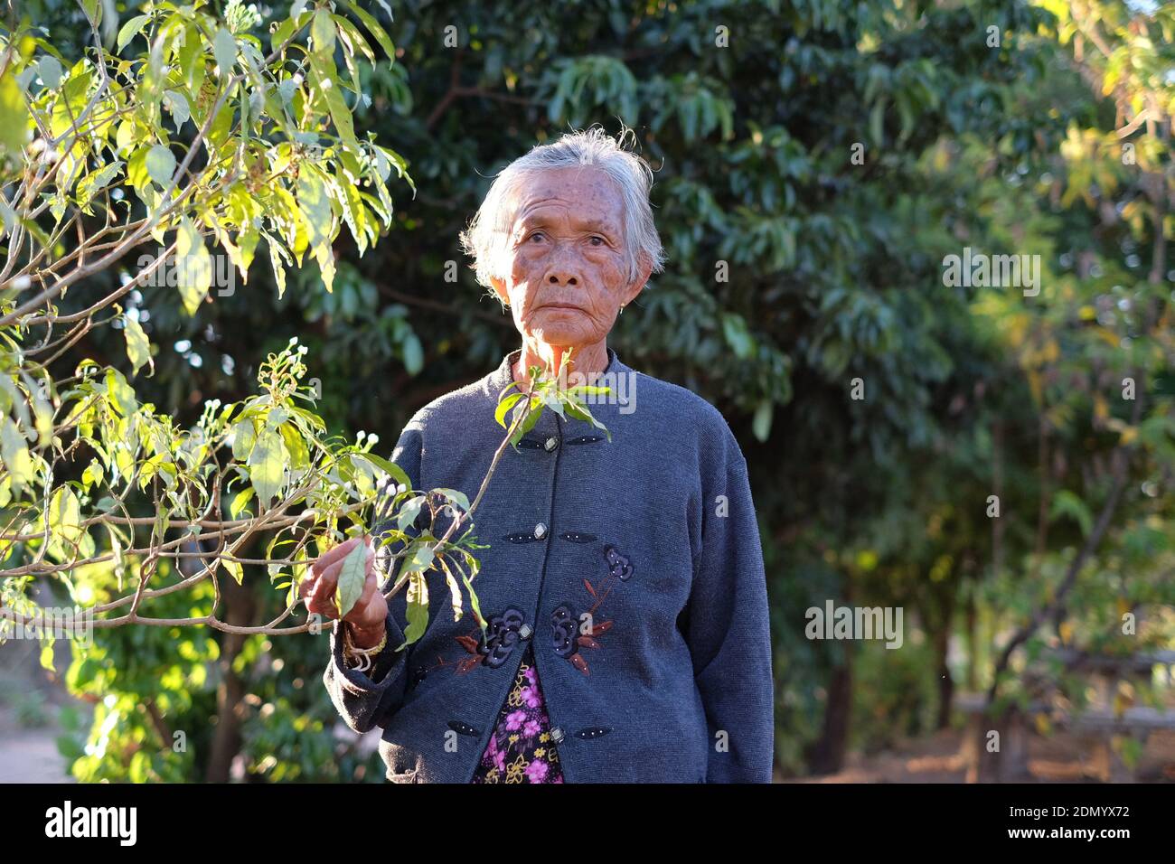 Old poor woman thailand hi-res stock photography and images - Alamy