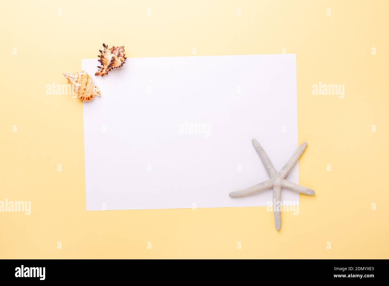 Blank paper, seashells and starfish on yellow background. Concept of ...