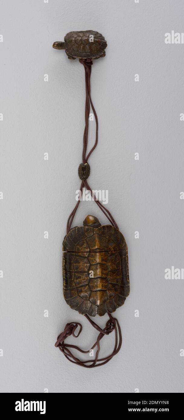 Head partially extended hi-res stock photography and images - Alamy