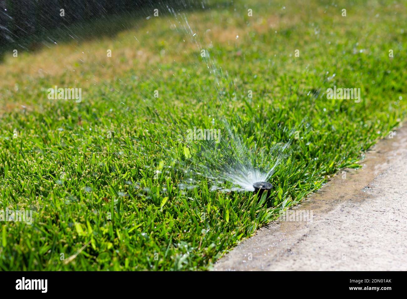 Closeup on sprinkler spraying water to green grass backyard. Garden ...