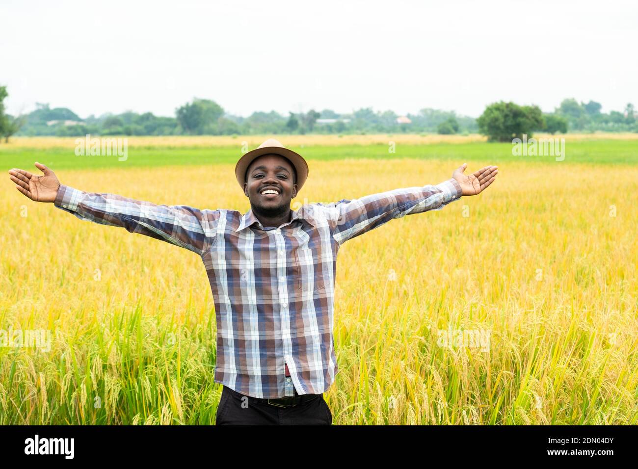African farmer standing in organic rice field with smile and happy ...
