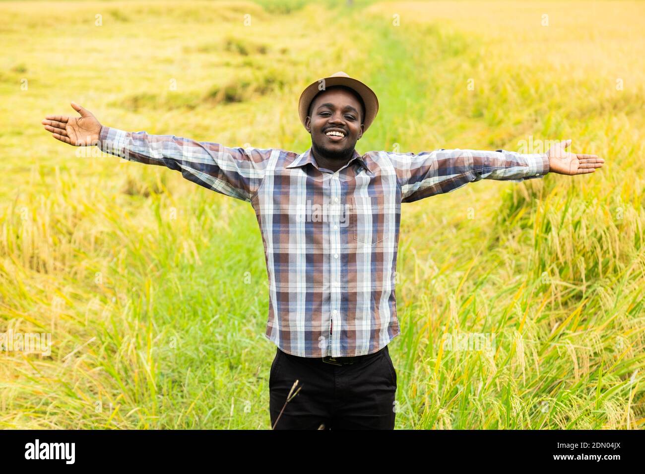 African farmer standing in organic rice field with smile and happy ...