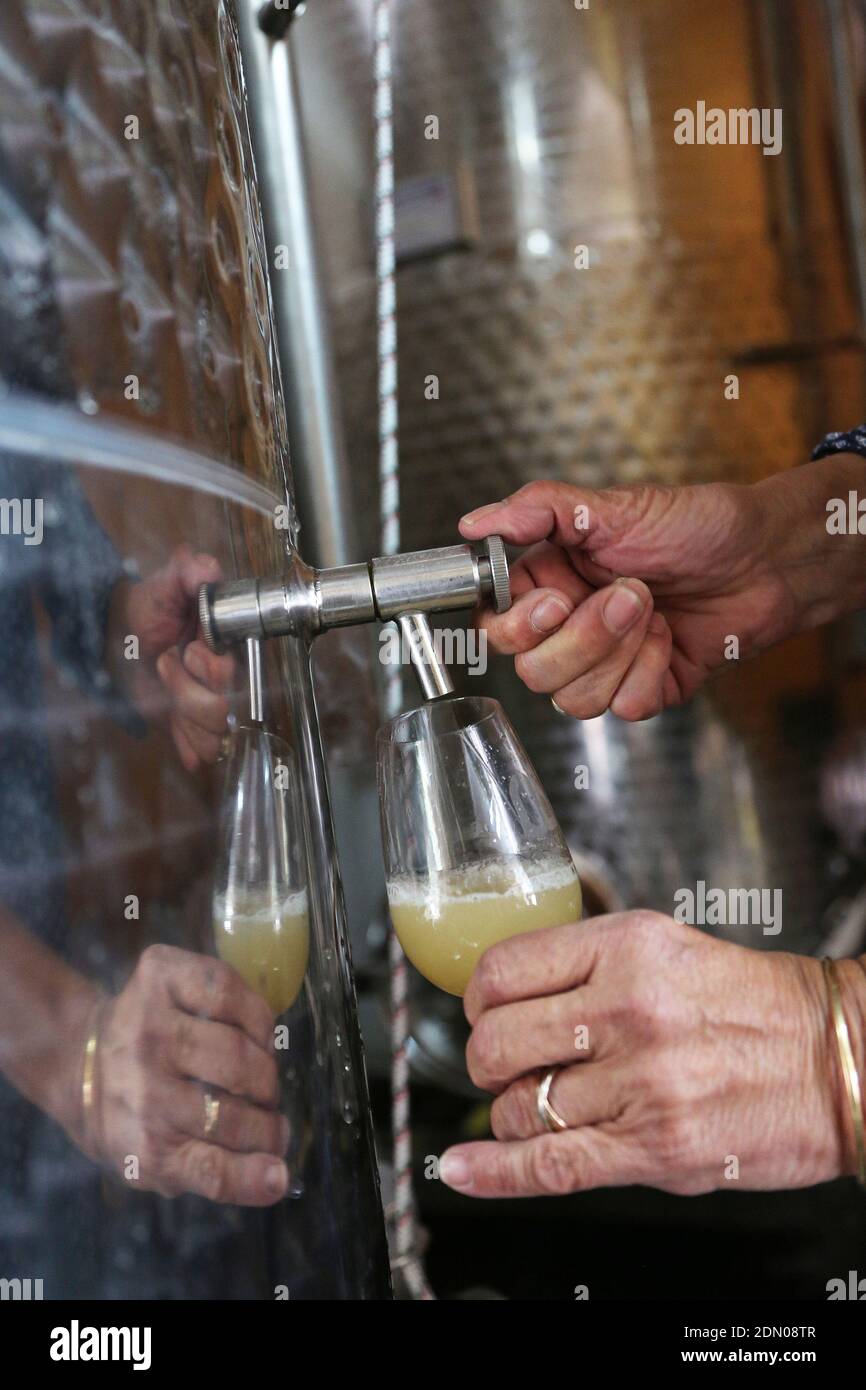 Vinification hi-res stock photography and images - Alamy