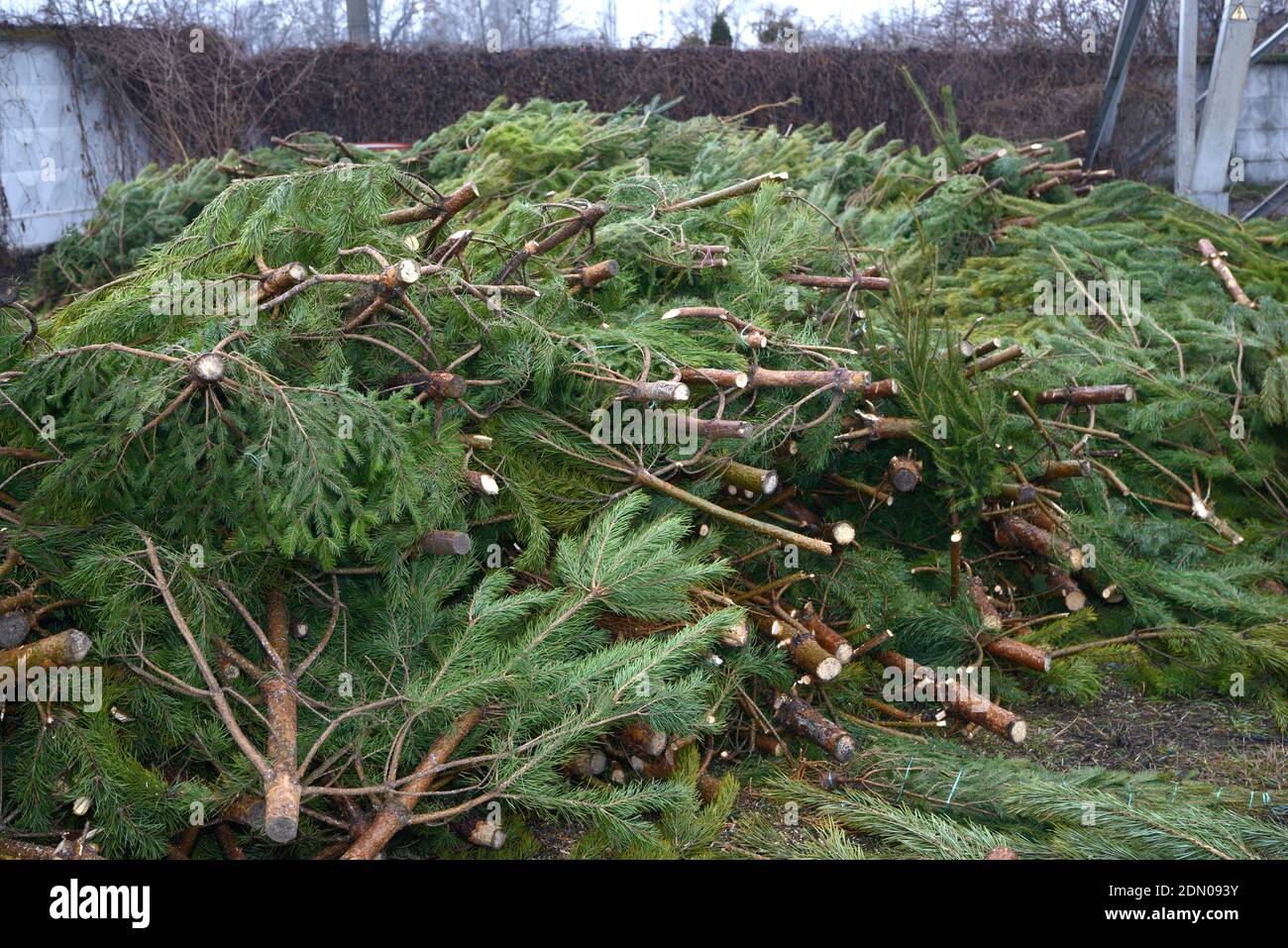 Recycling collection point hi-res stock photography and images - Alamy
