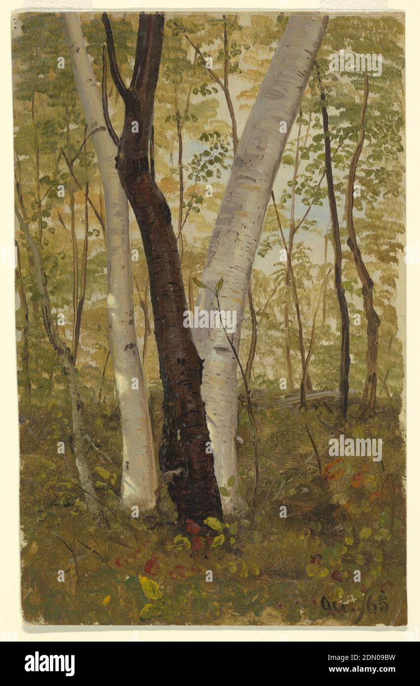 In the Woods, Hudson, New York, Frederic Edwin Church, American, 1826 ...